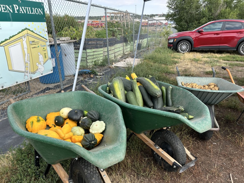 From plot to plate at the Hunger in Moose Jaw farmers market - DiscoverMooseJaw.com - Local news ...